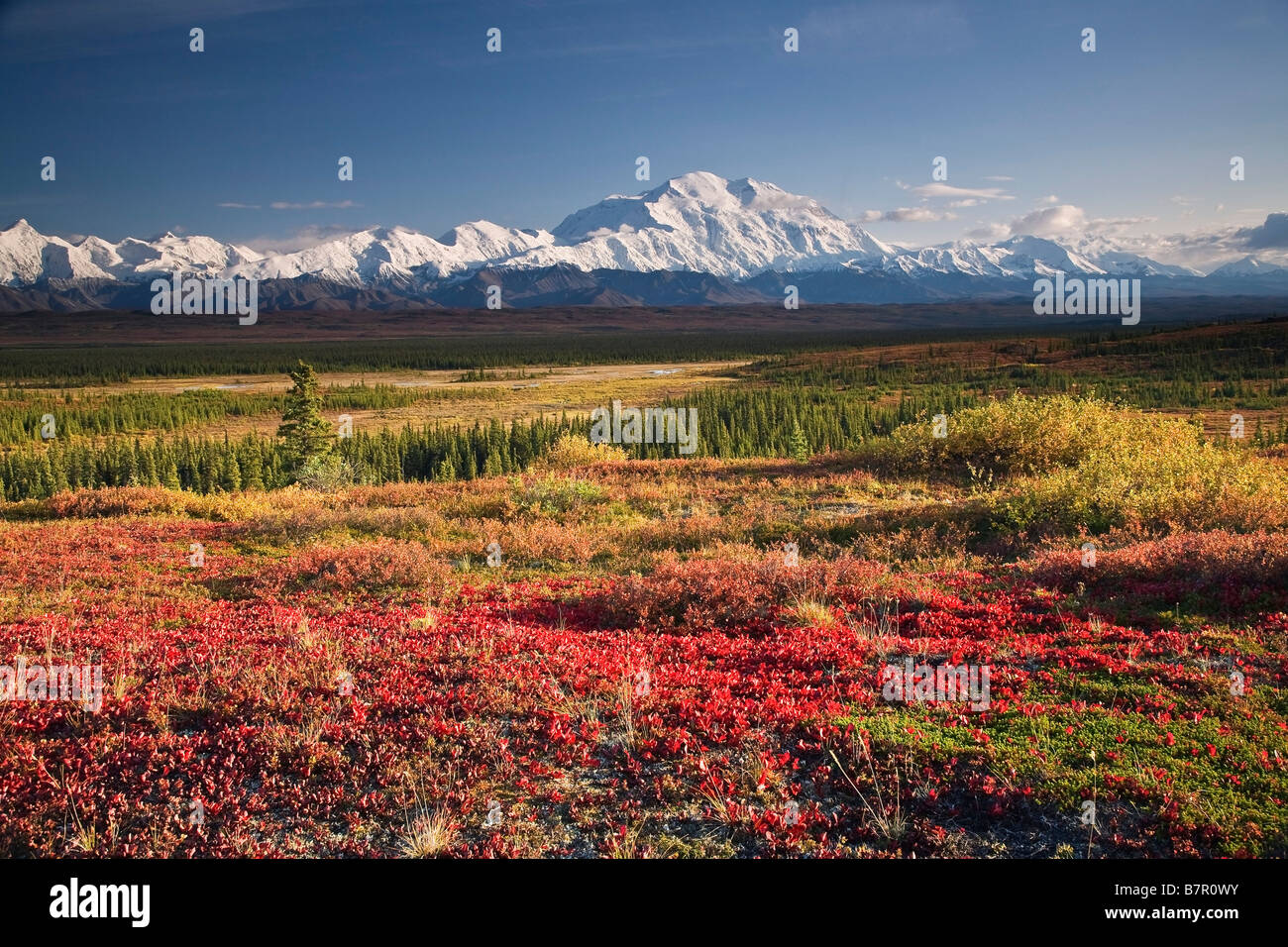 Scenic view of Fall colors on the tundra with the Alaska Range and Mt ...