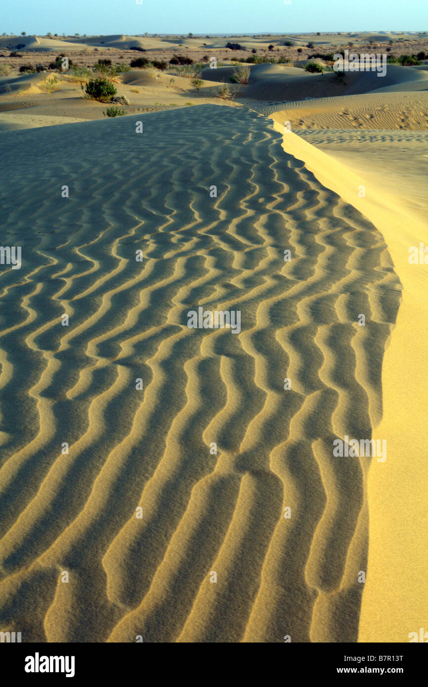 sand patterns at the sam dunes in the thar desert near jaisalmer Stock ...
