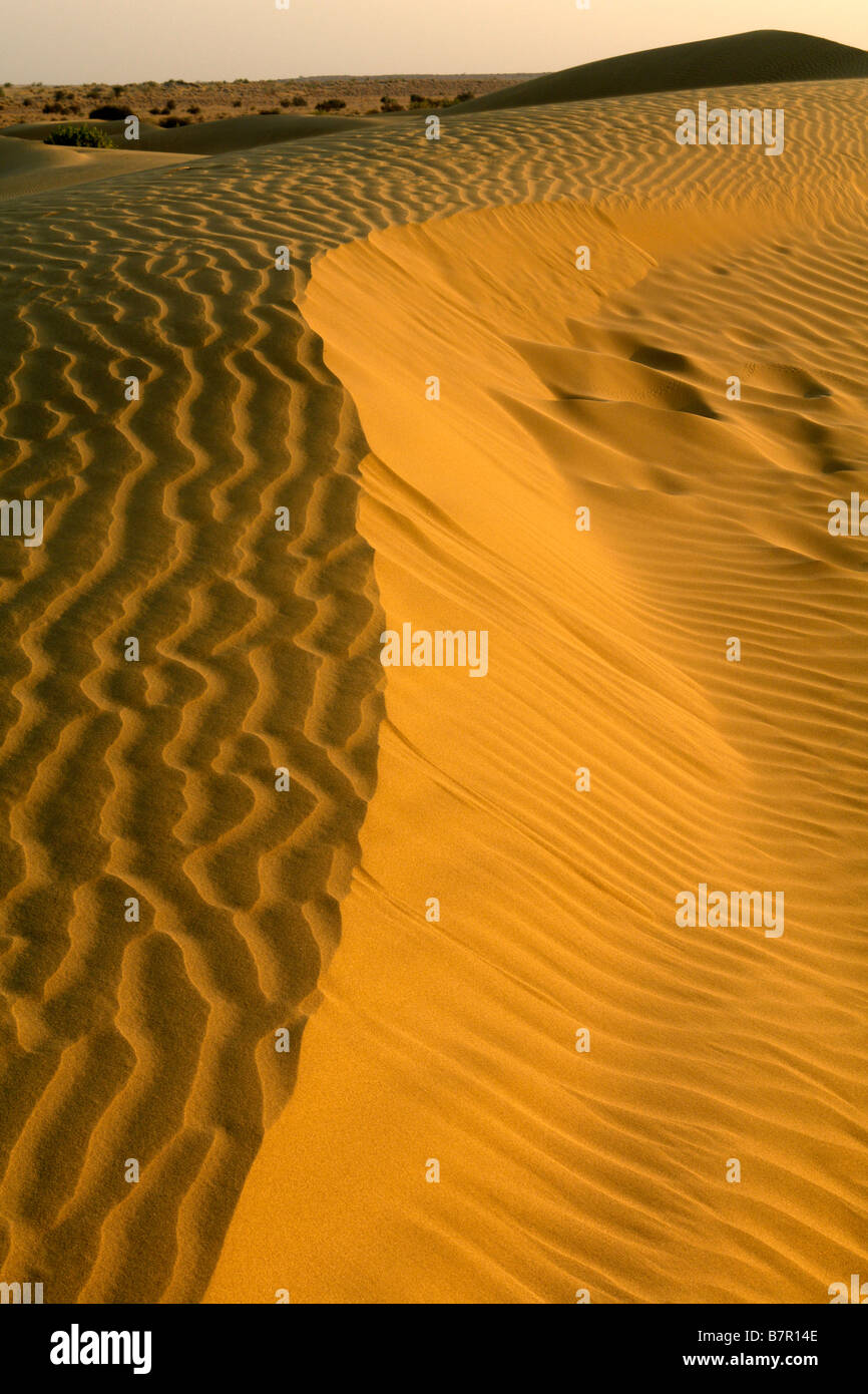 sand patterns at the sam dunes in the thar desert at sunset Stock Photo ...