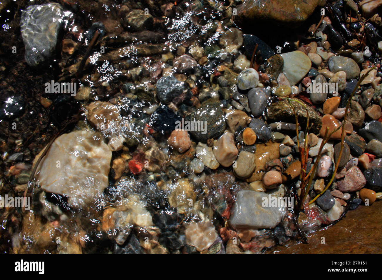 Stones under shallow water Stock Photo - Alamy