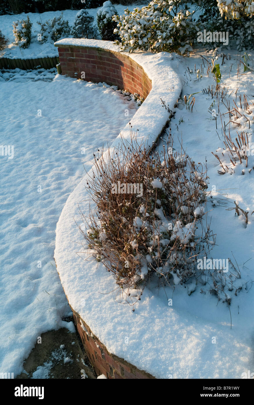 Curvaceous border hi-res stock photography and images - Alamy