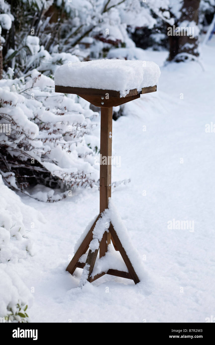 Bird table covered in snow, hiding the food Stock Photo - Alamy