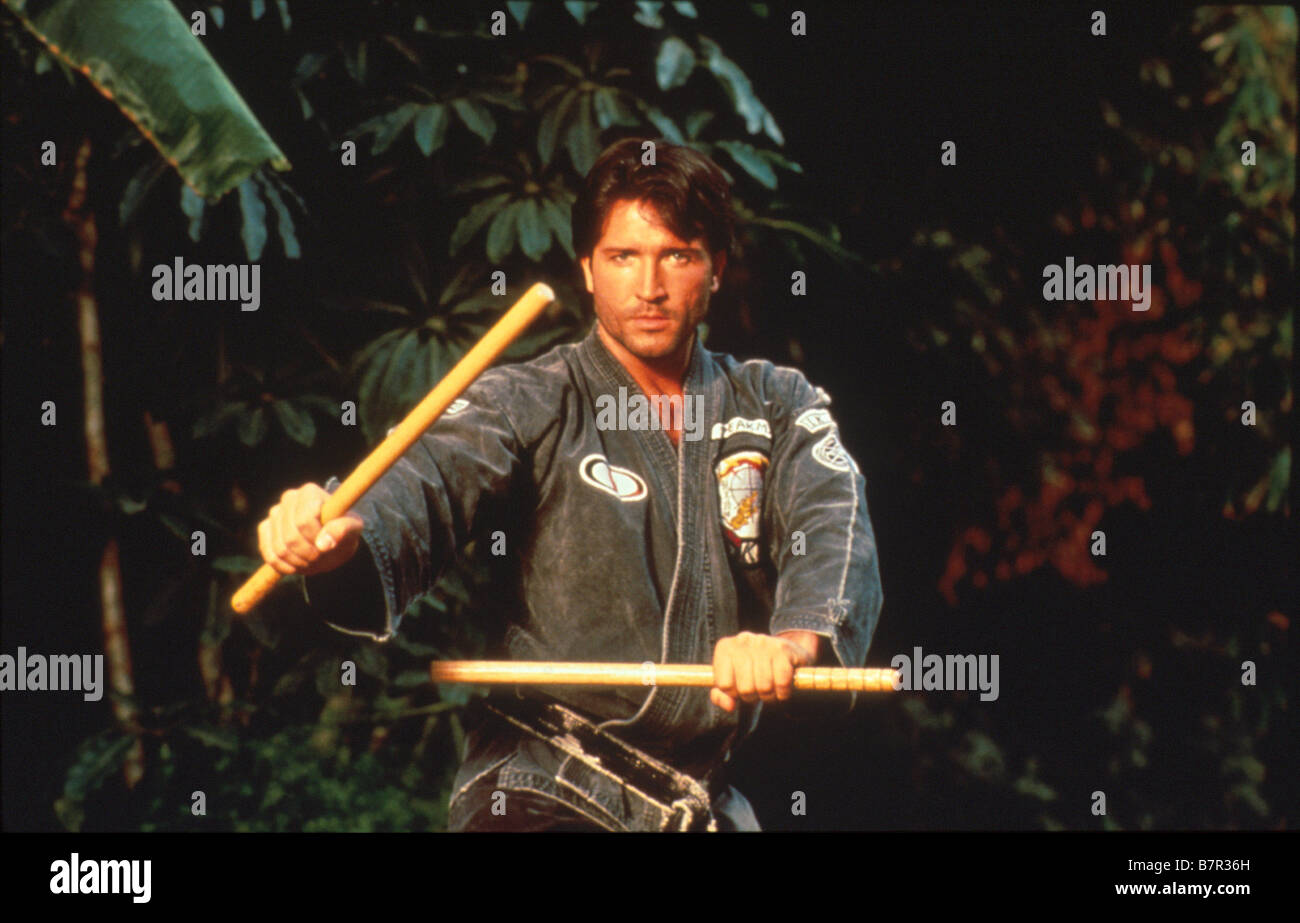 L'arme parfaite Perfect Weapon, The Year: 1991 USA Director: Mark ...