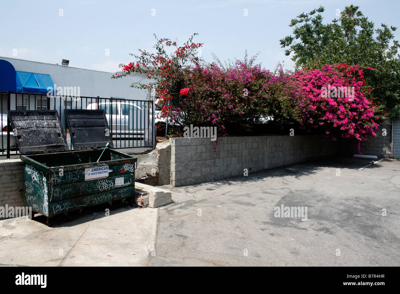 Garbage dumpster covered with graffiti and red flowers and concrete ...