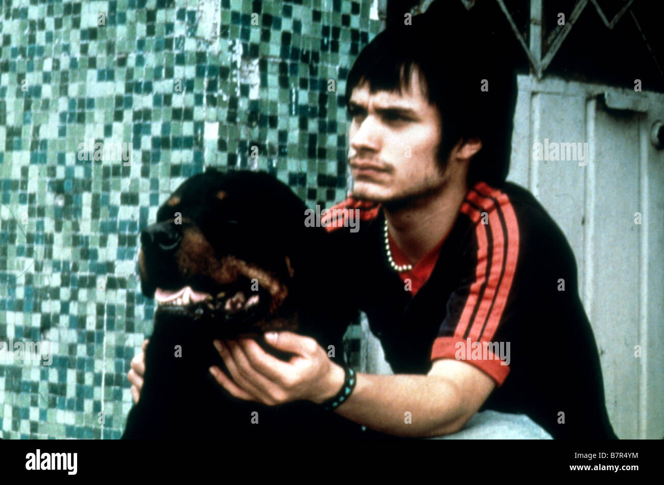 Gael Garcia Bernal Amores Perros