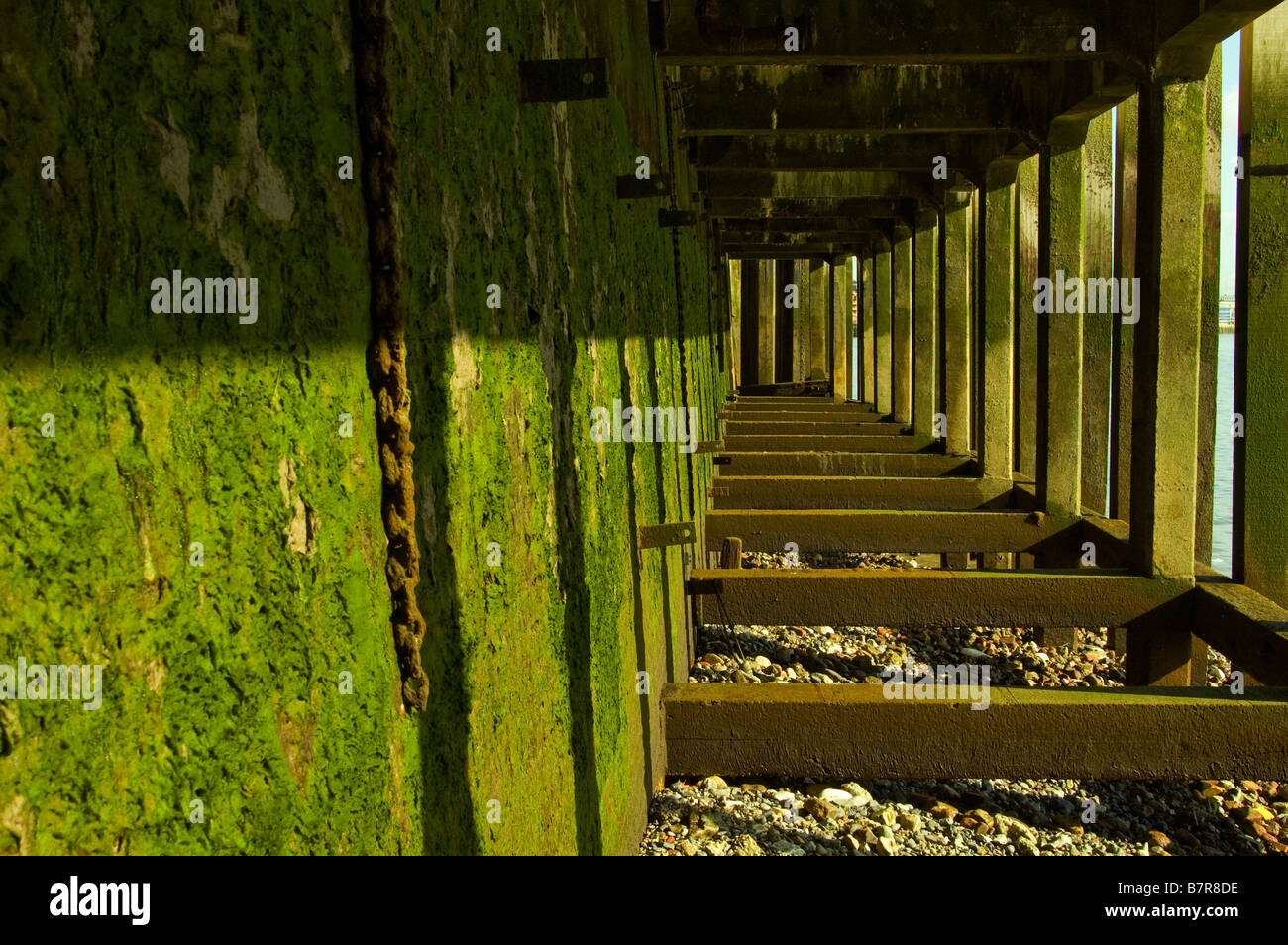 Dock beach london hi-res stock photography and images - Alamy