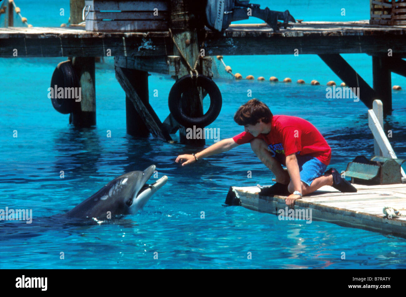 Flipper Flipper Year: 1996 USA ELIJAH WOOD Director: Alan Shapiro Stock ...