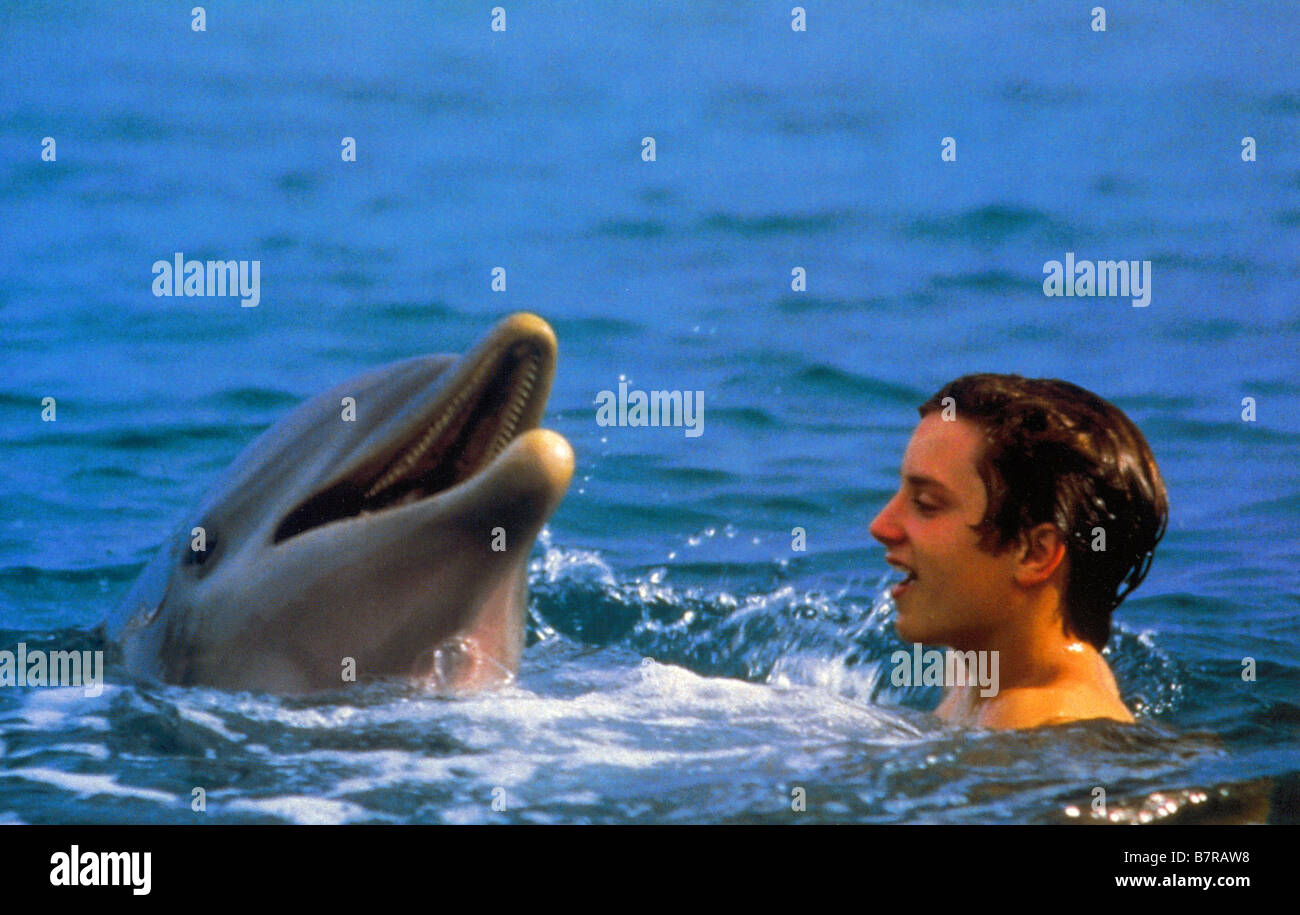 Flipper Flipper Year: 1996 USA ELIJAH WOOD Director: Alan Shapiro Stock ...