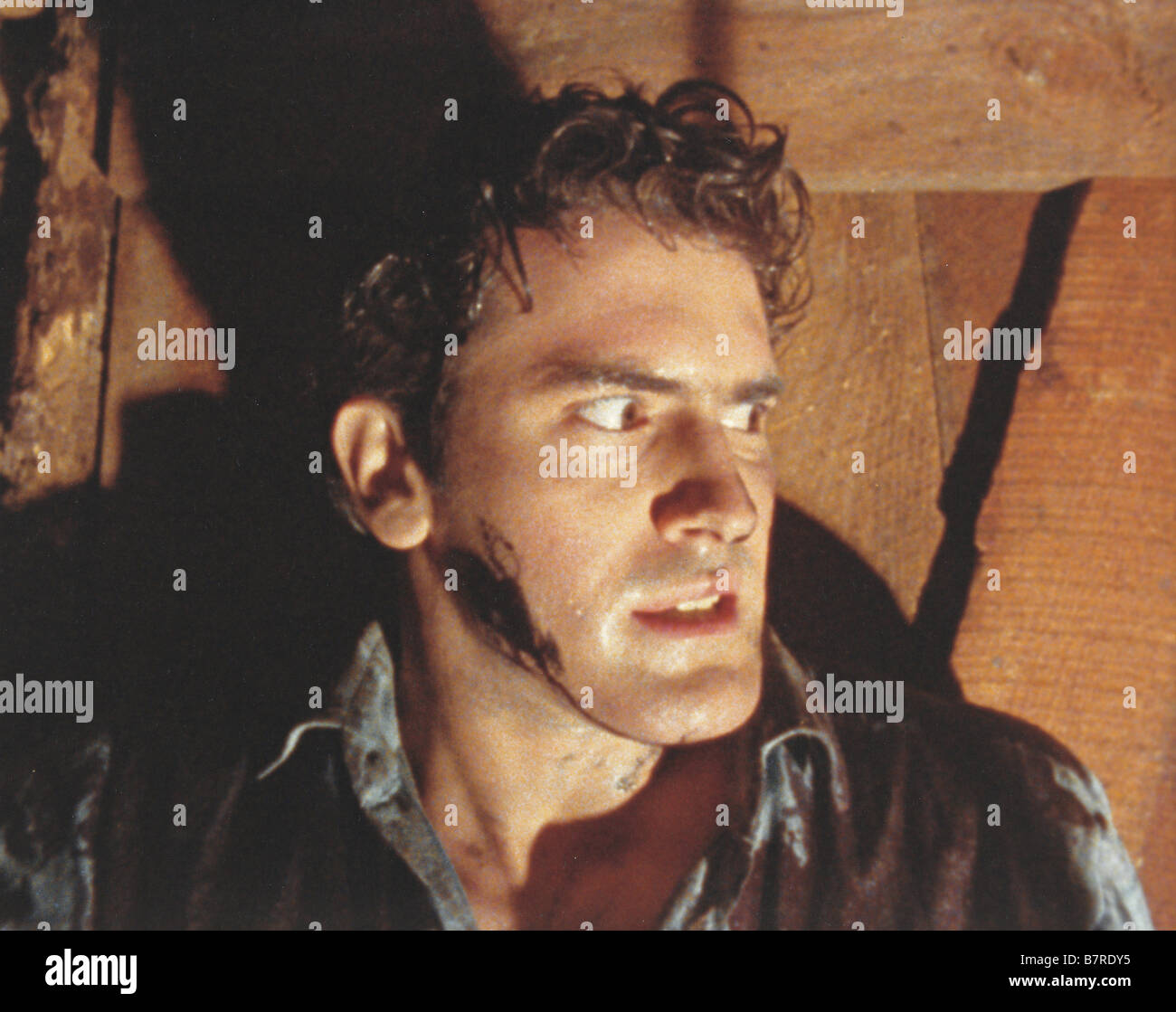 The Evil Dead Year: 1981 USA Bruce Campbell Director: Sam Raimi Stock ...