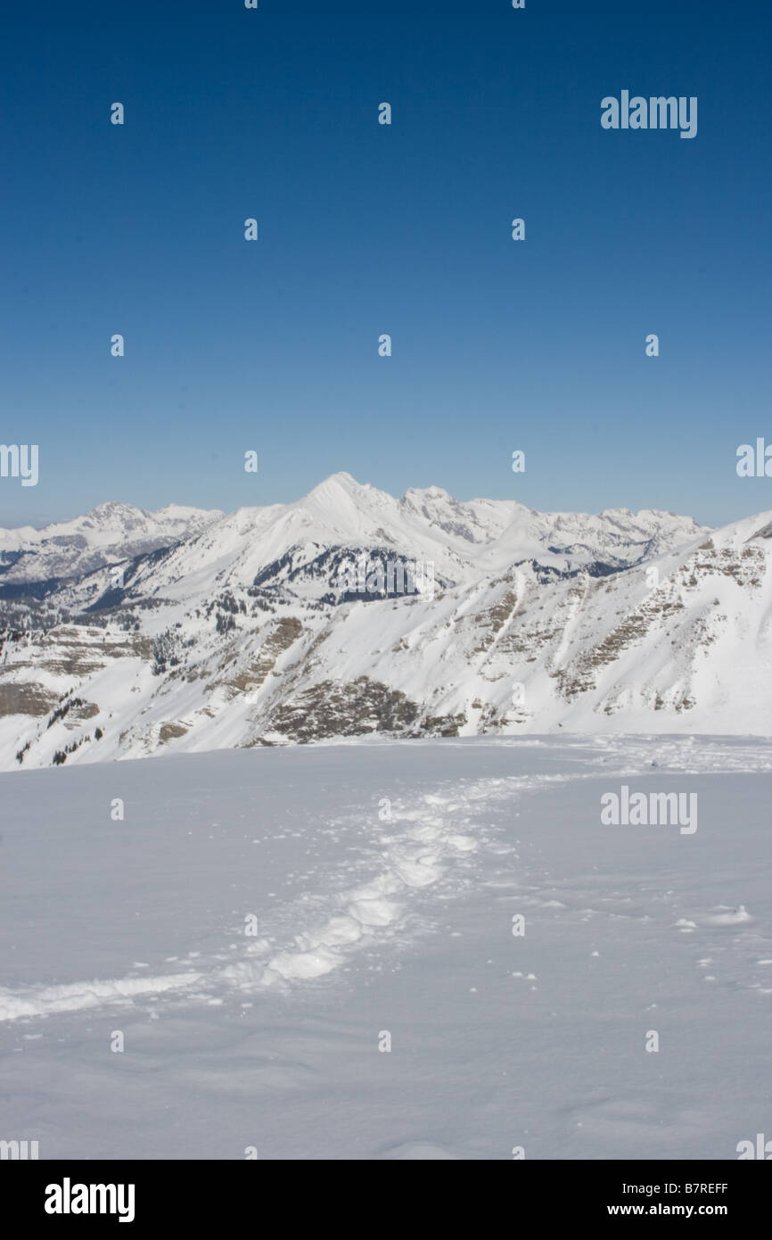 Footsteps In Snow High Resolution Stock Photography and Images - Alamy