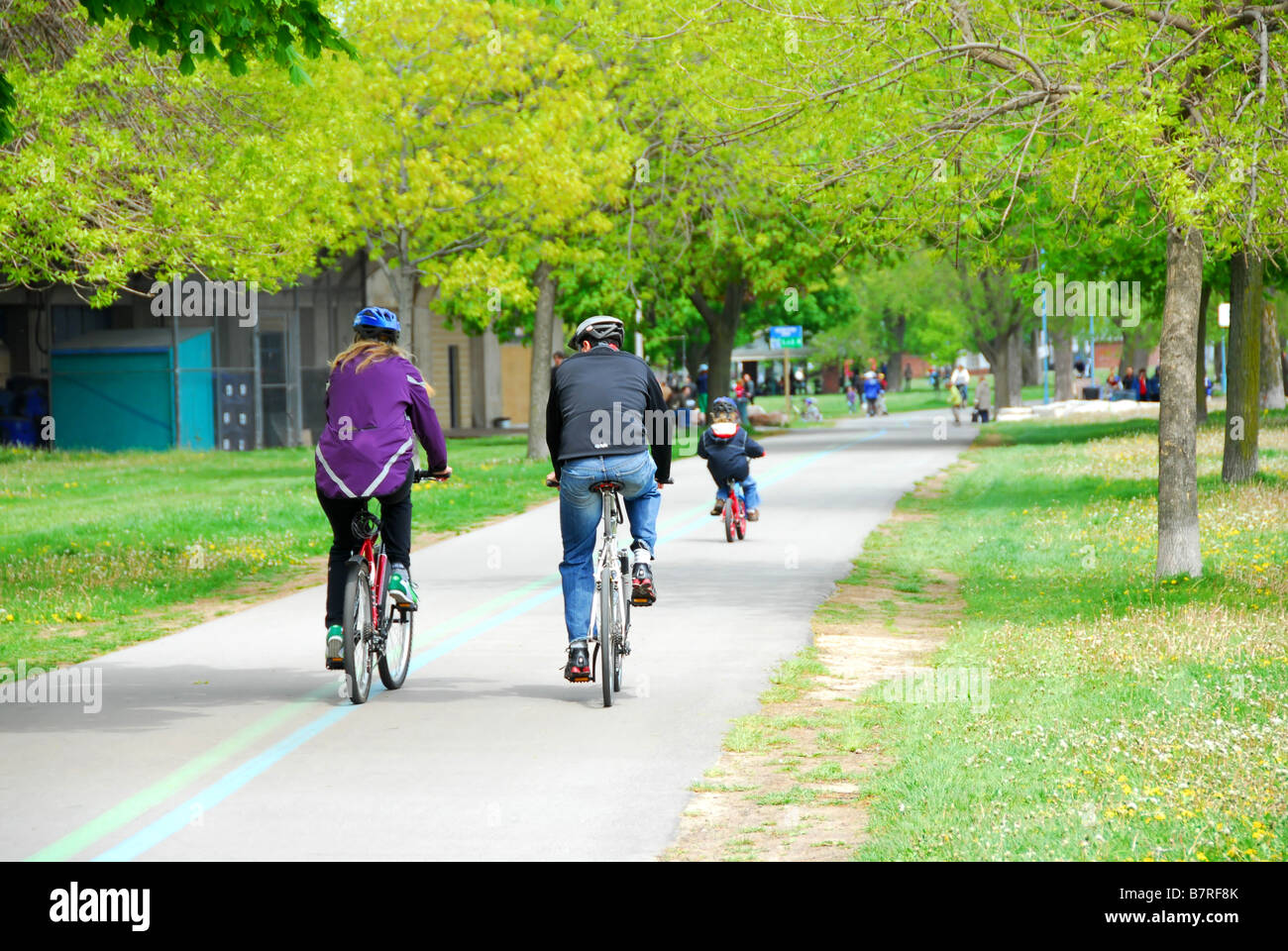 Bicycling in a spring park Stock Photo - Alamy