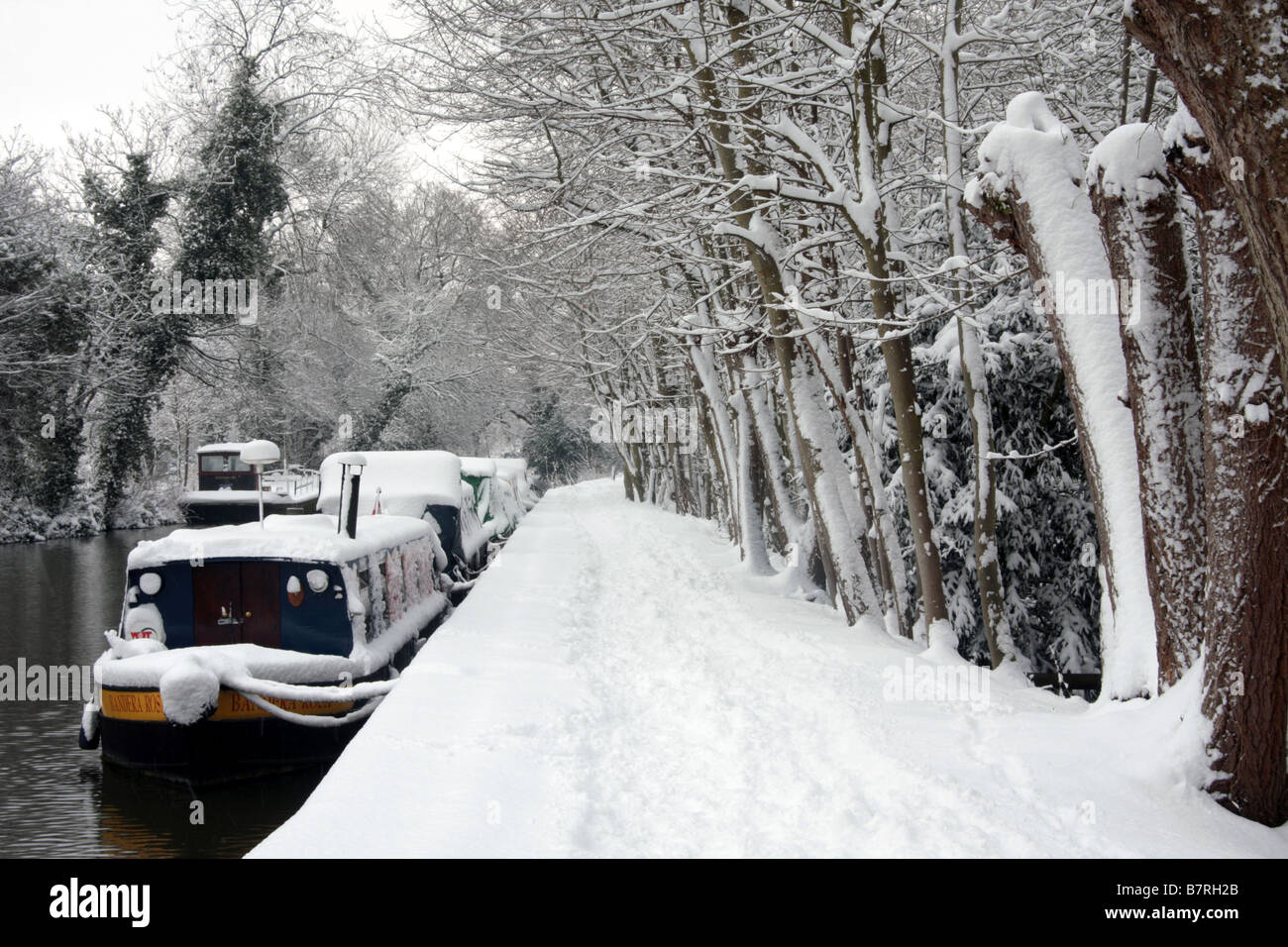 winter scene river wey, surrey, elmbridge Stock Photo - Alamy