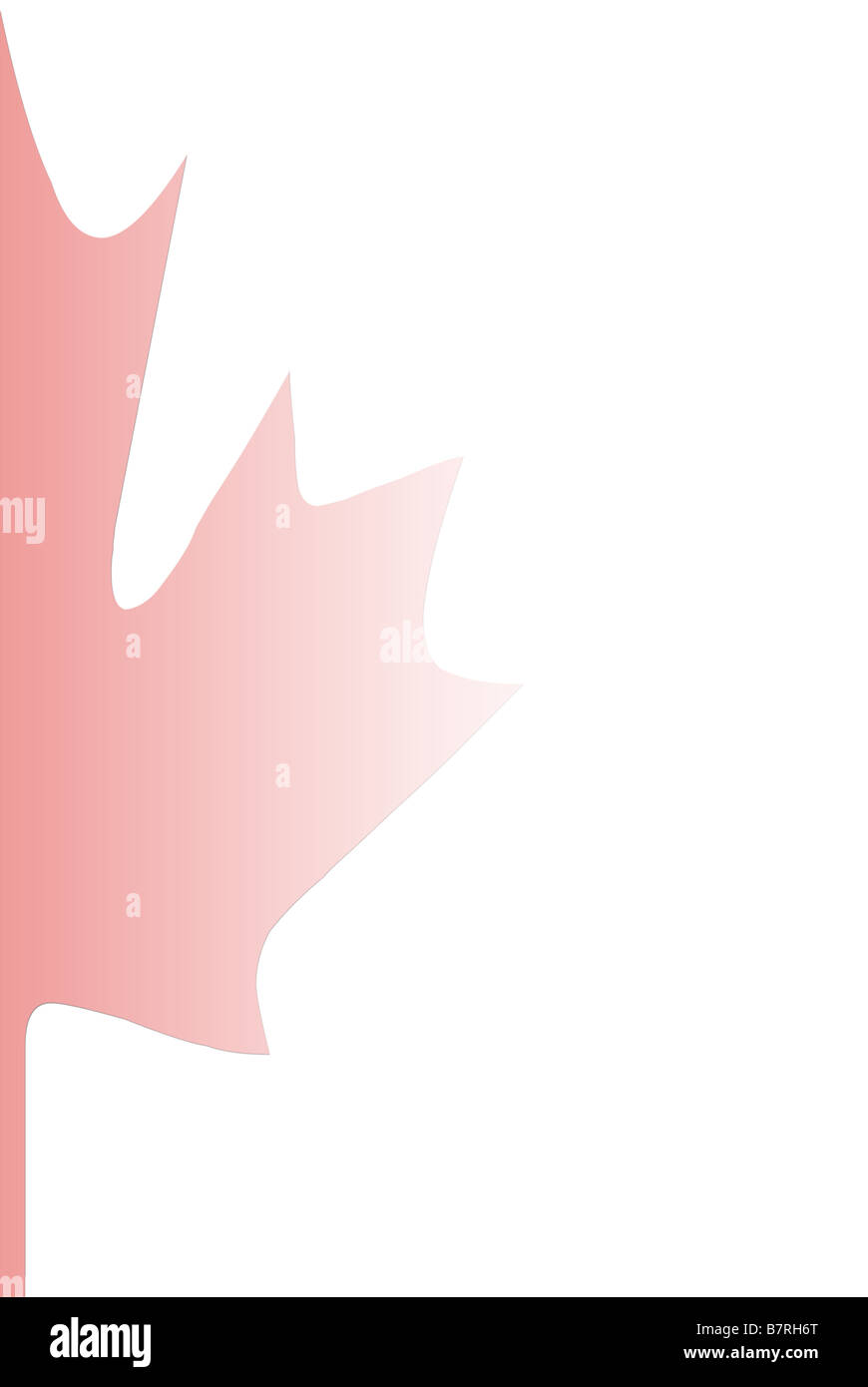 canada, canadian, maple, leaf, gradient, graphic, illustration Stock ...