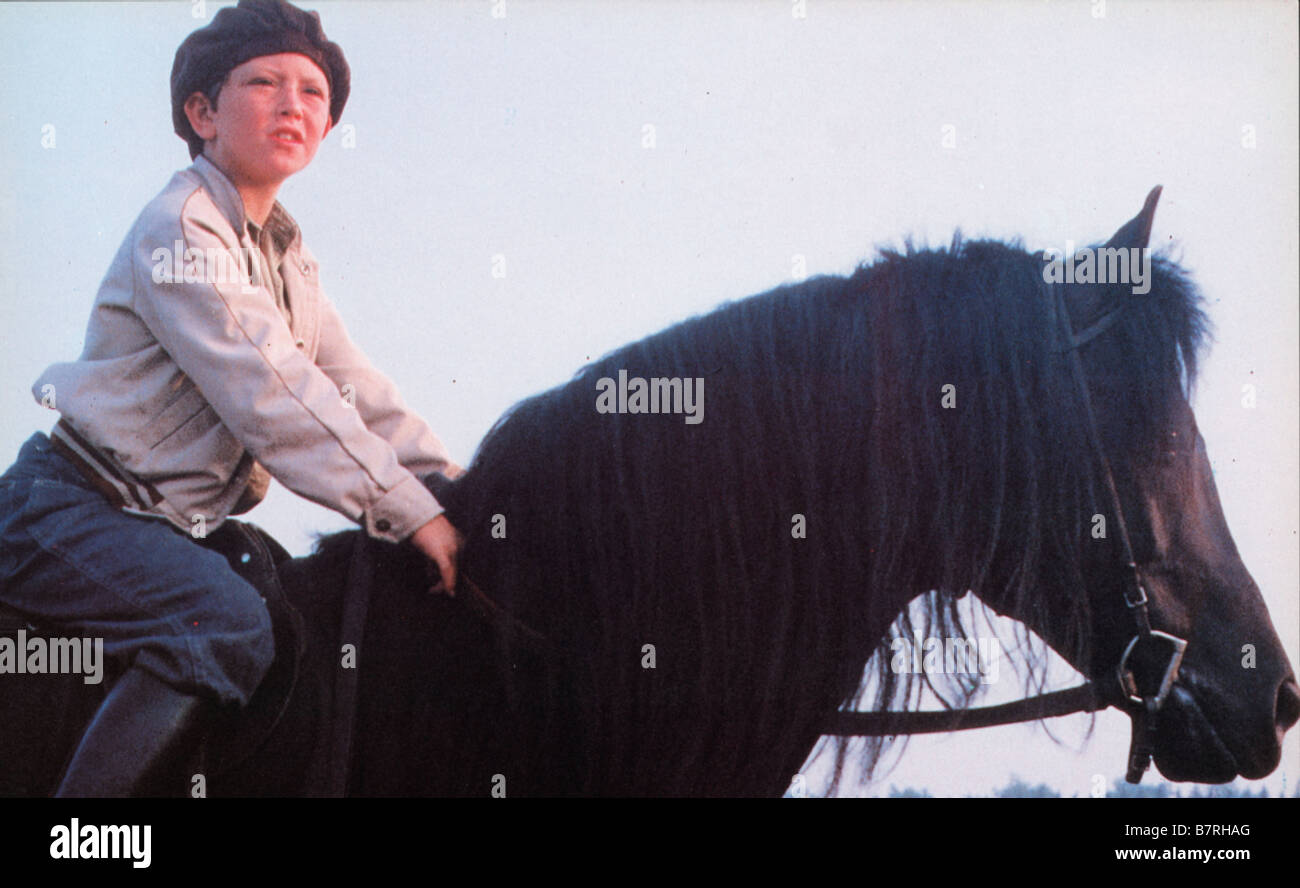 The Black Stallion Year: 1979 USA Director: Carroll Ballard Kelly Reno ...