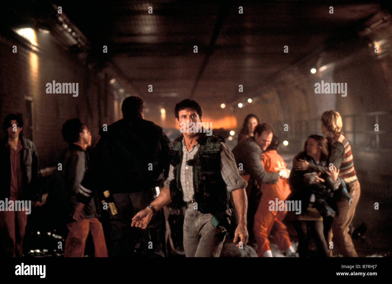 Stallone daylight hi-res stock photography and images - Alamy