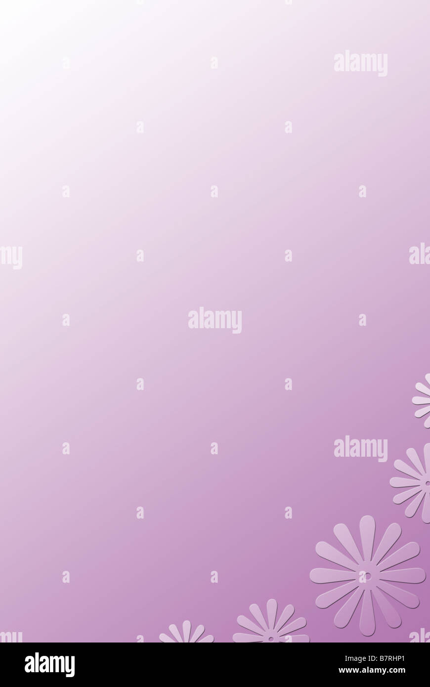 purple or lilac flower background template Stock Photo - Alamy