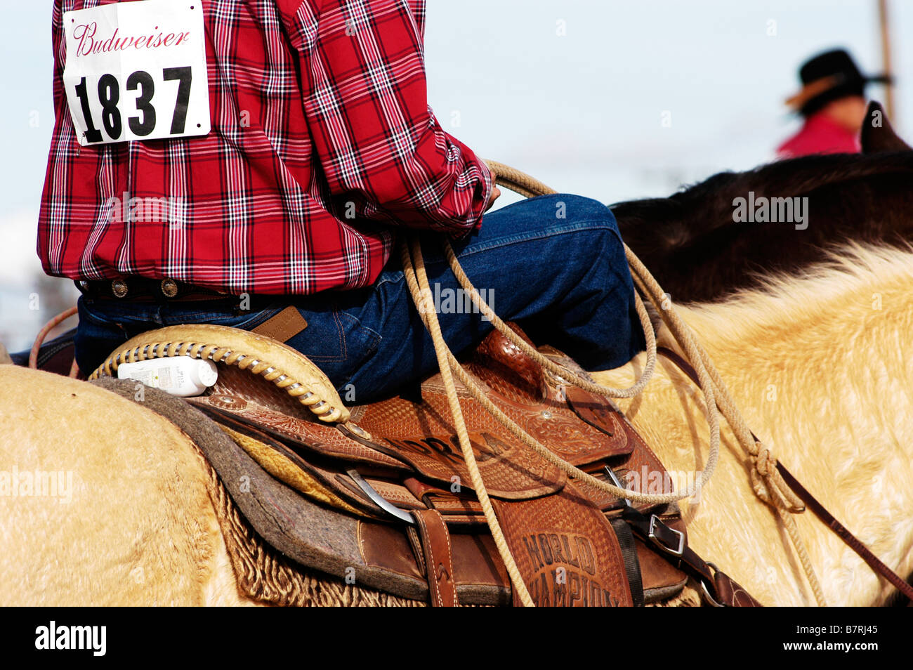 a cowboy waiting to compete in a rodeo Stock Photo - Alamy