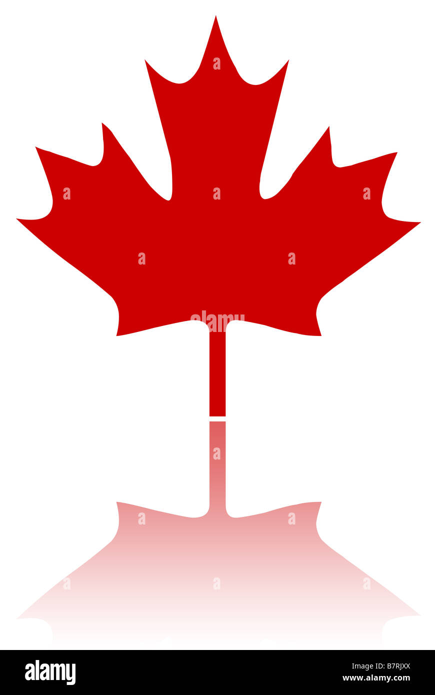 single red canadian maple leaf with reflection Stock Photo - Alamy