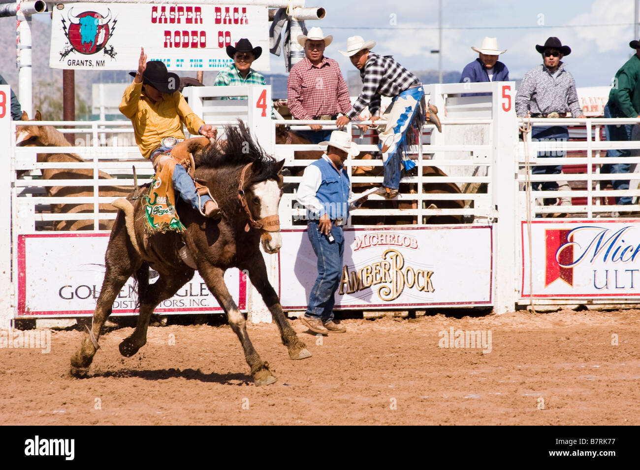 a cowboy riding in a rodeo Stock Photo - Alamy