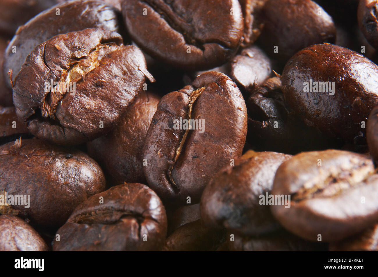 Close up of coffee beans Stock Photo - Alamy
