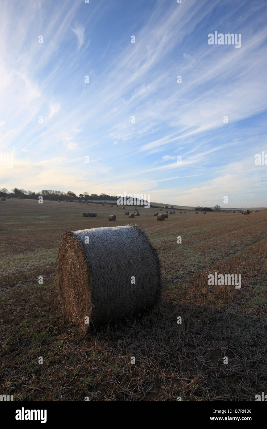 Straw bales in the early morning light Stock Photo - Alamy