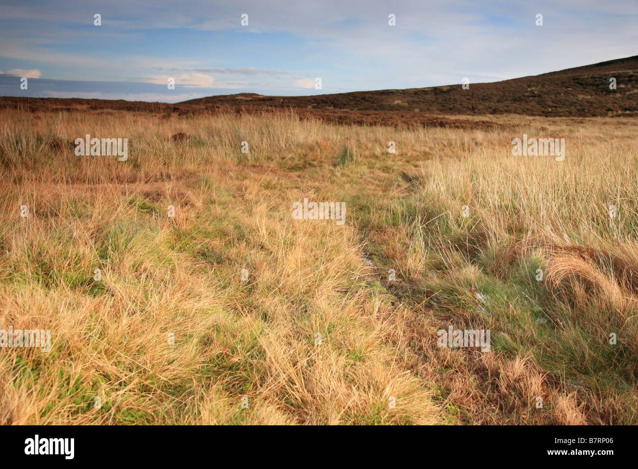 Cumbrian countryside hi-res stock photography and images - Alamy
