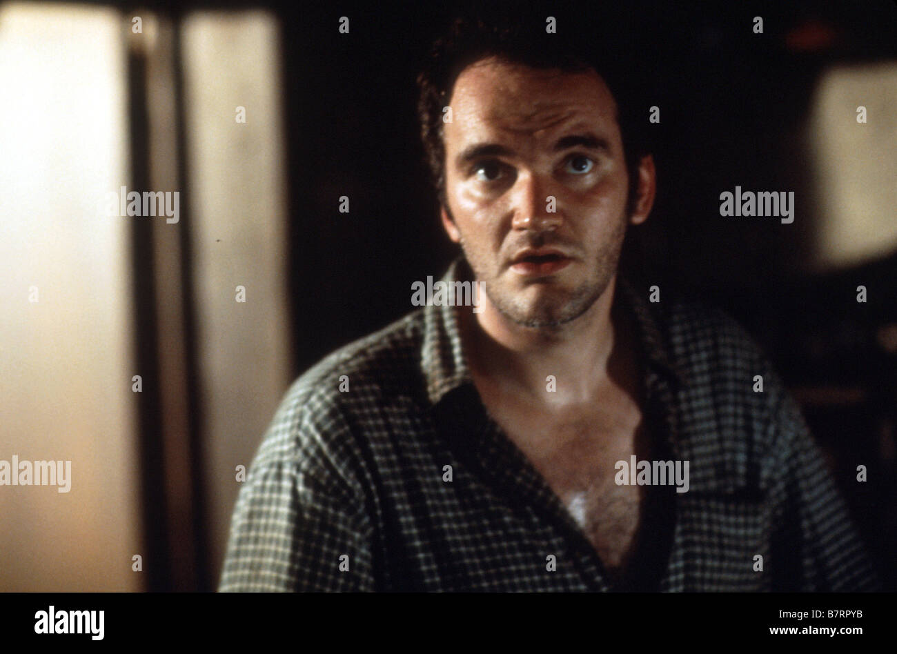 Desperado Desperado Year: 1995 USA / Mexico Quentin Tarantino Director ...