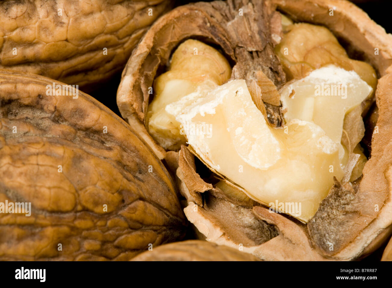 An open walnut Stock Photo - Alamy