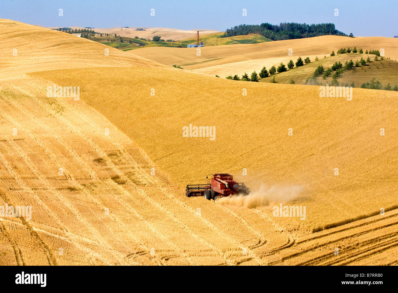 Sunshine header harvester hi-res stock photography and images - Alamy