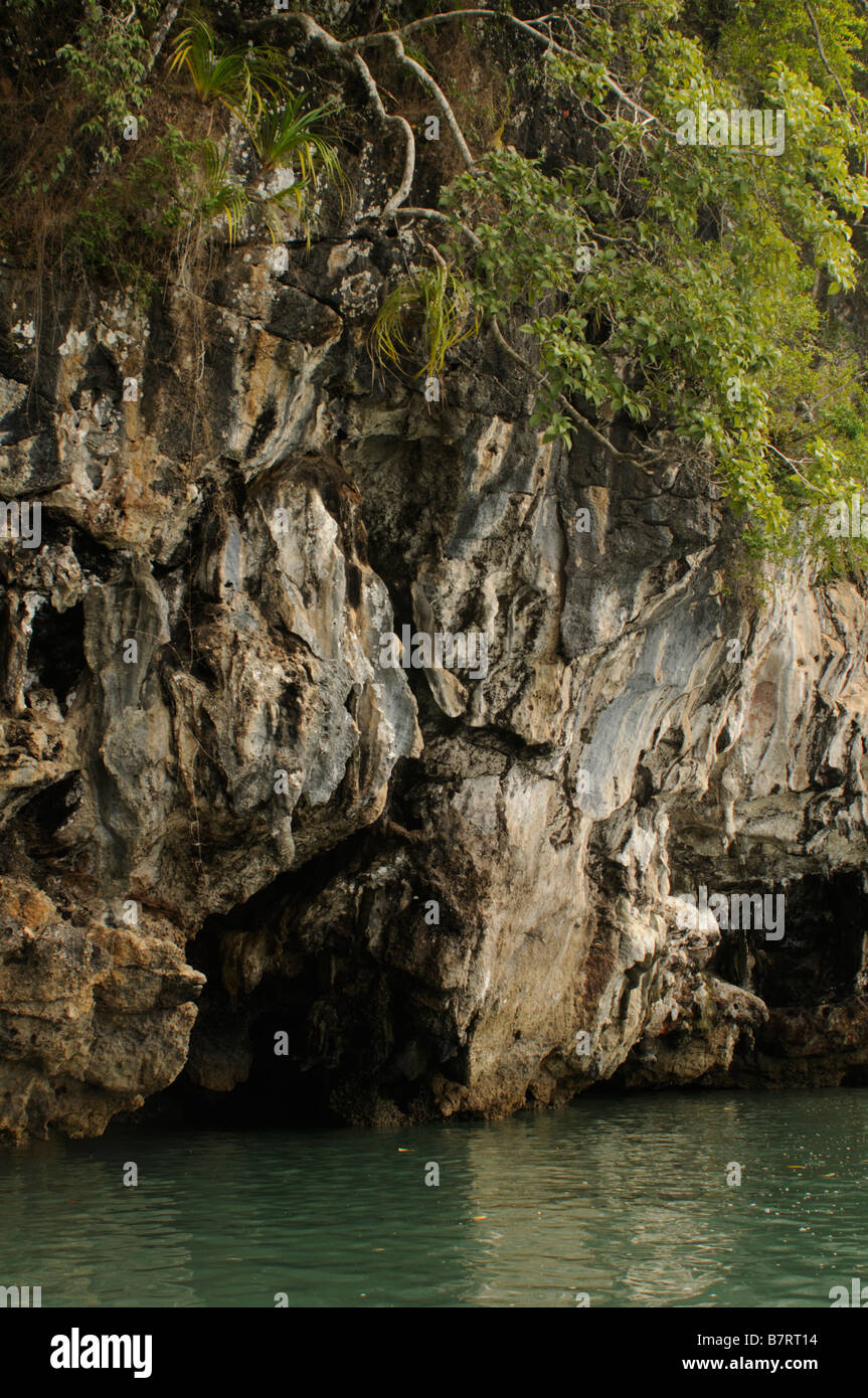 Cave in mangrove swamp, Thailand Stock Photo - Alamy