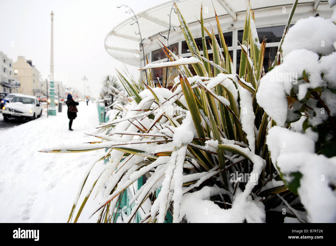 Snow on Brighton seafront UK Stock Photo - Alamy