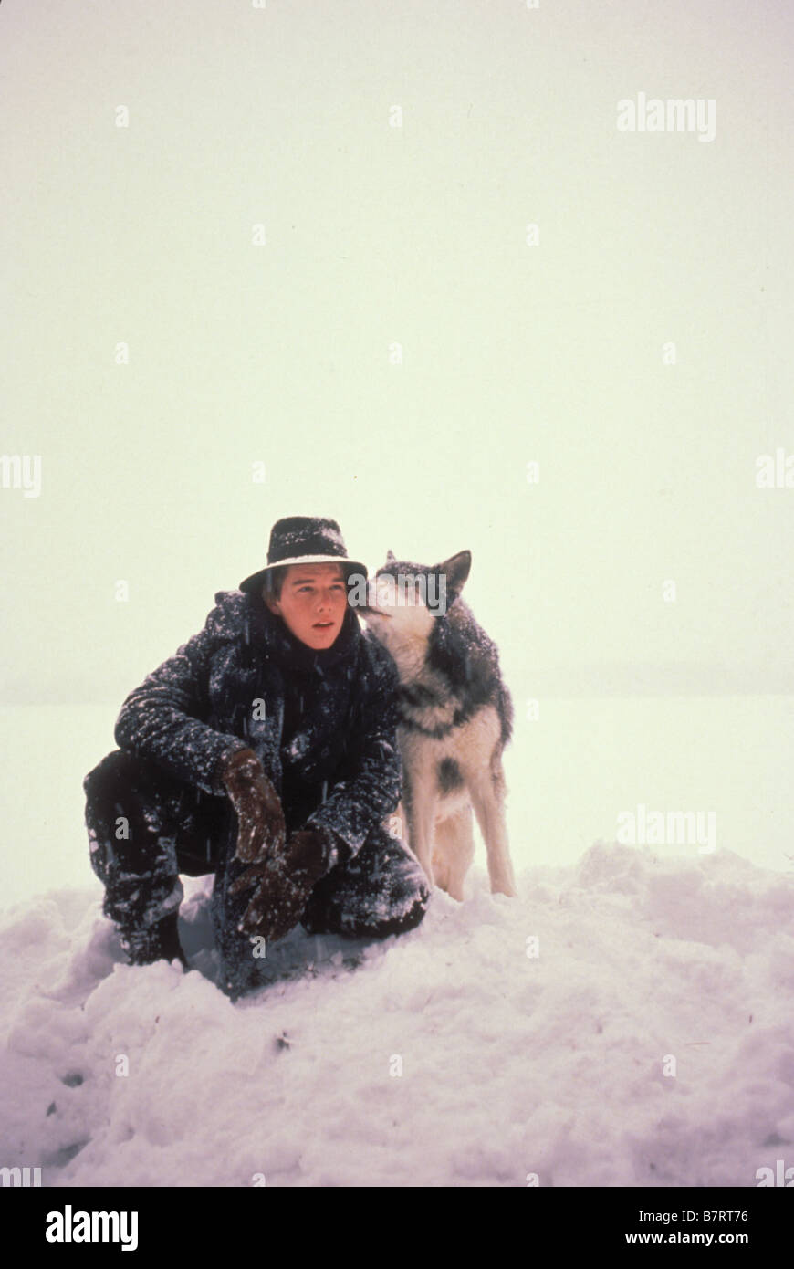 White Fang Year: 1991 USA Ethan Hawke Director: Randal Kleiser Stock ...