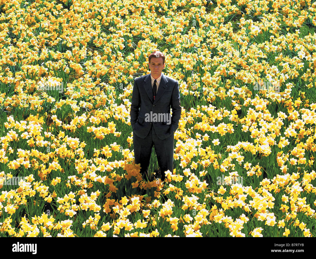 Big Fish Year: 2003 USA Ewan McGregor Director: Tim Burton Stock Photo ...