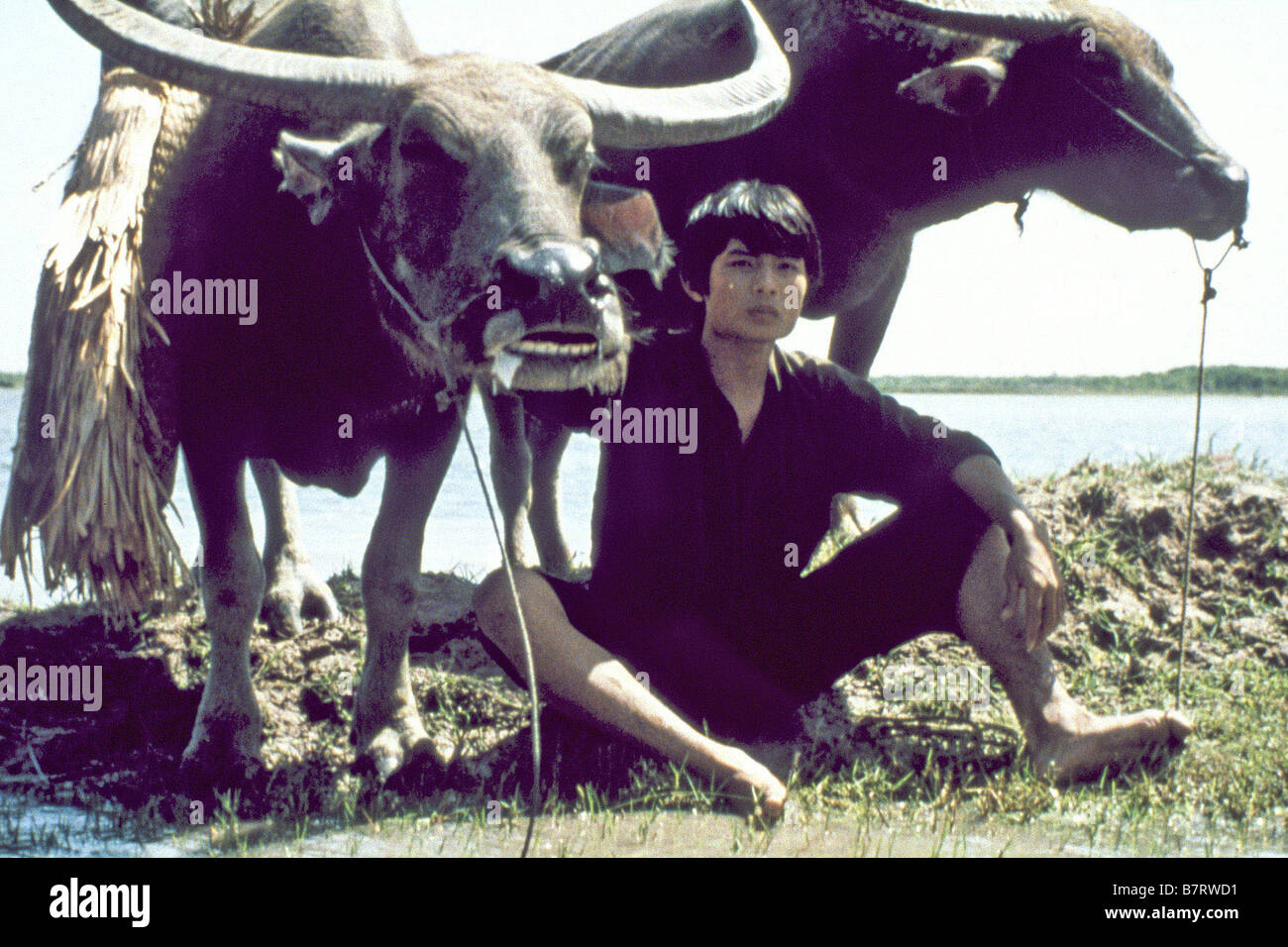 Mua len trau The Buffalo Boy Year: 2004 Vietnam / France Director:Minh ...