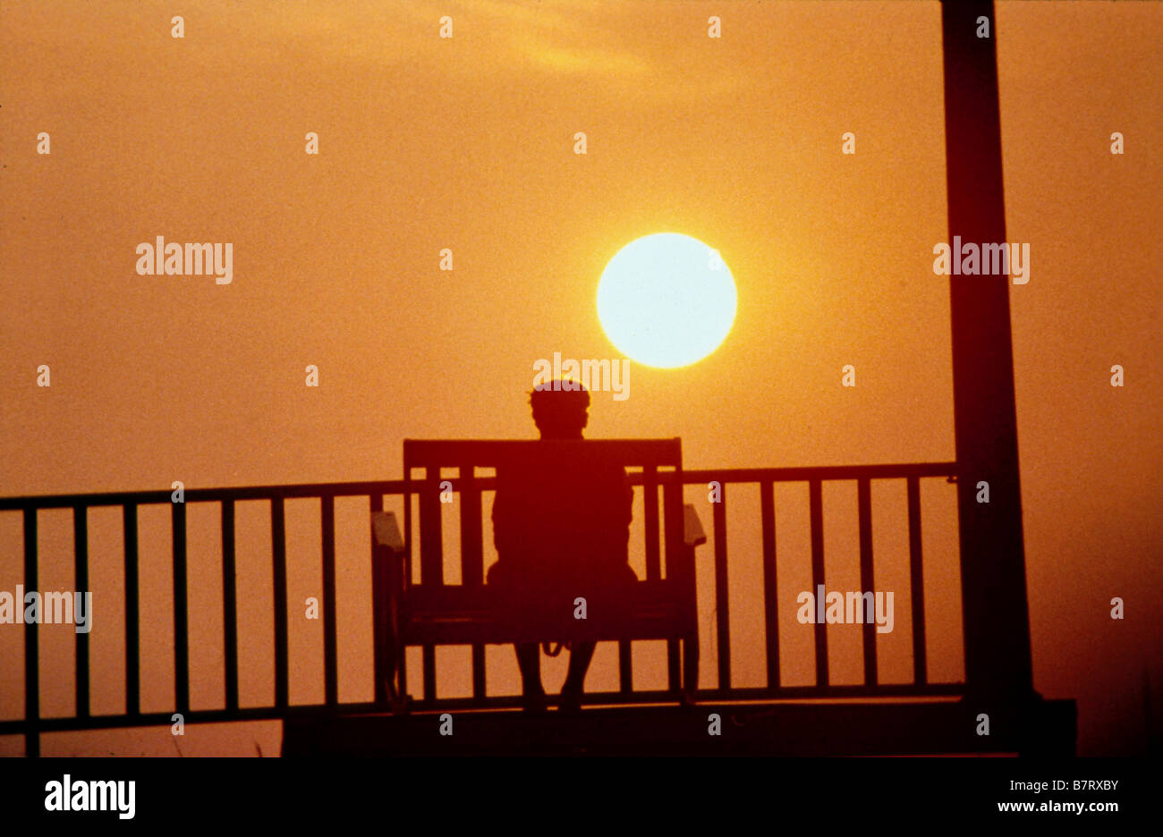 The Color Purple Year: 1985 USA Director : Steven Spielberg Stock Photo ...