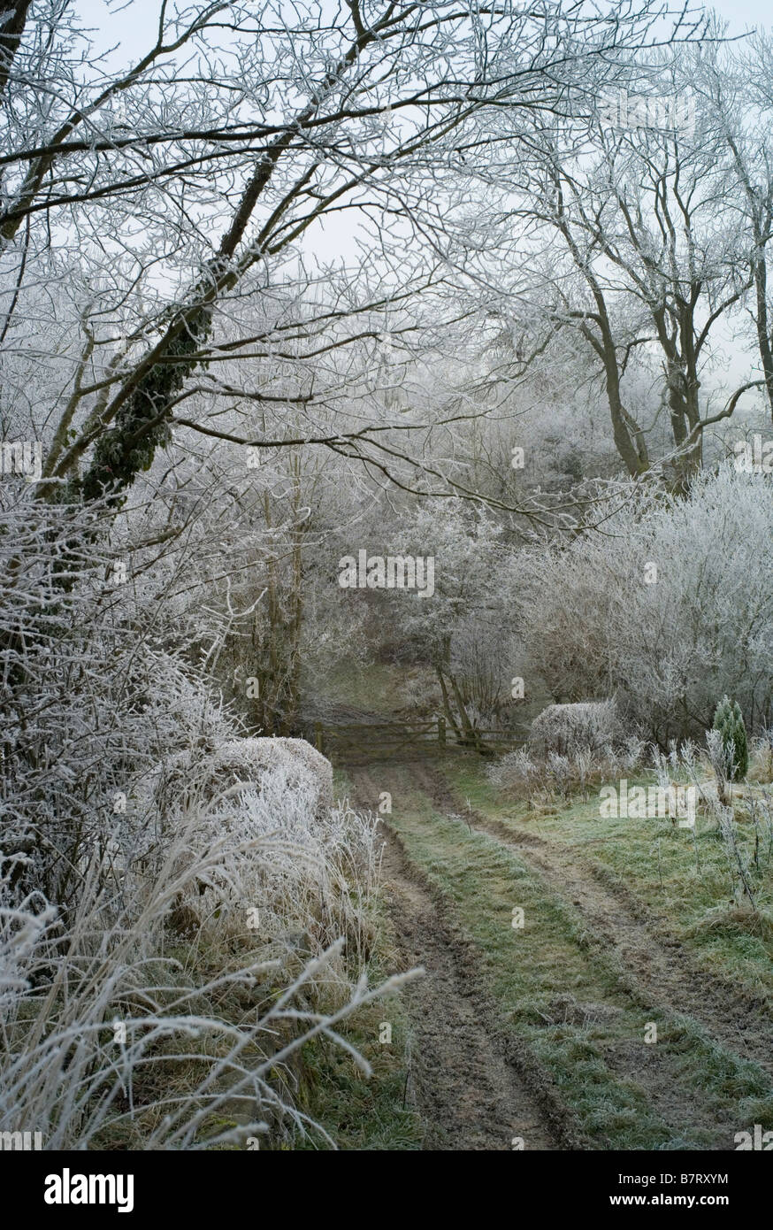 Country lane in winter with hoar frost Chapel Lawn Shropshire England ...