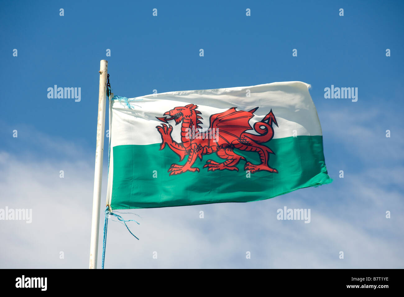 Welsh flag hi-res stock photography and images - Alamy