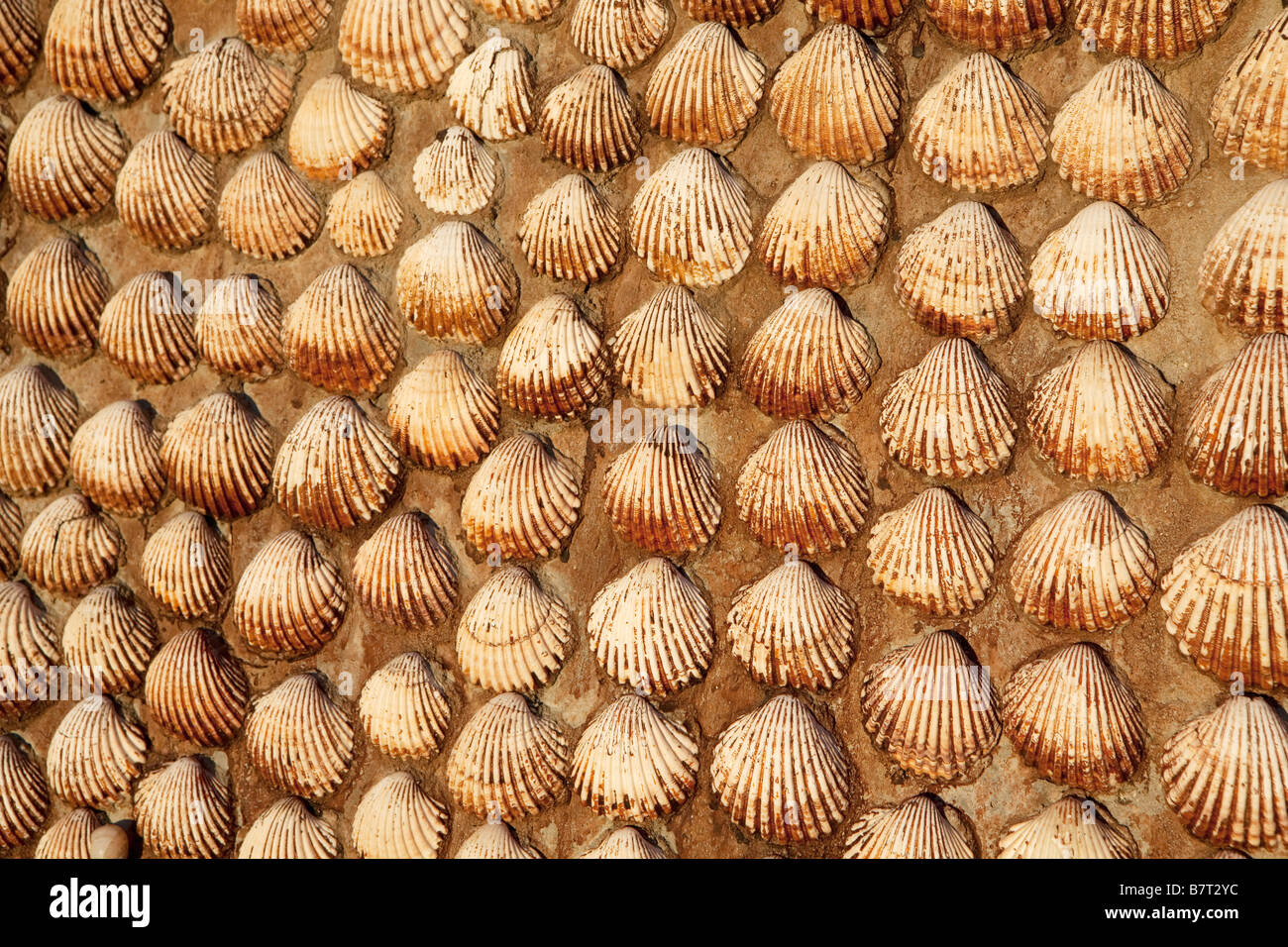 Detail of Spanish wall with seashells Stock Photo - Alamy