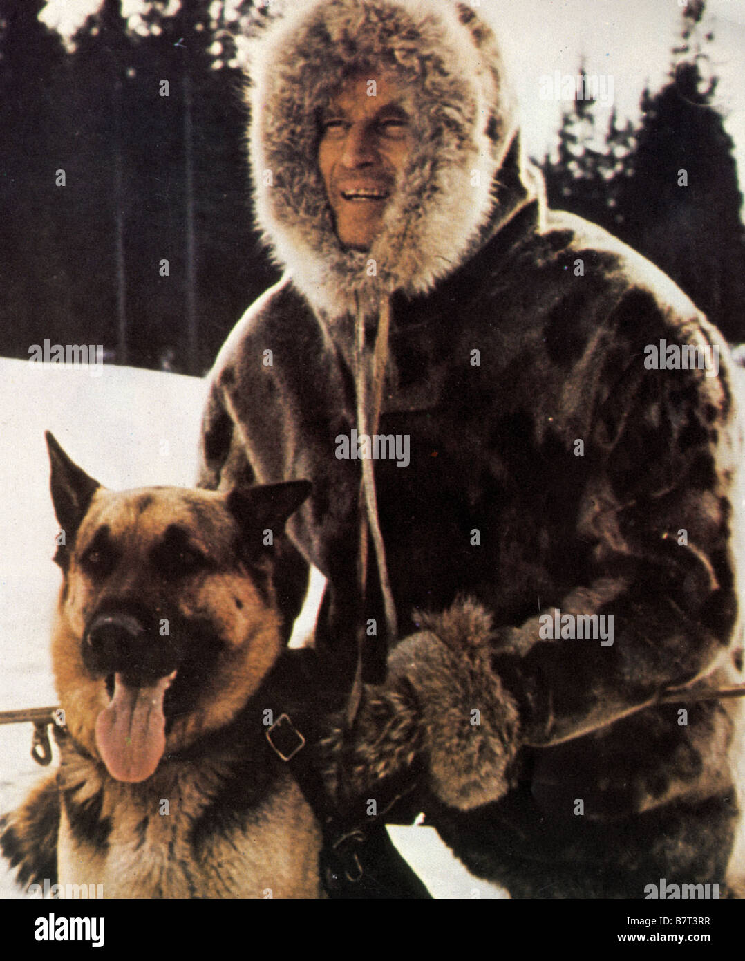 The Call of the Wild Year: 1972 UK Director : Ken Annakin Charlton ...