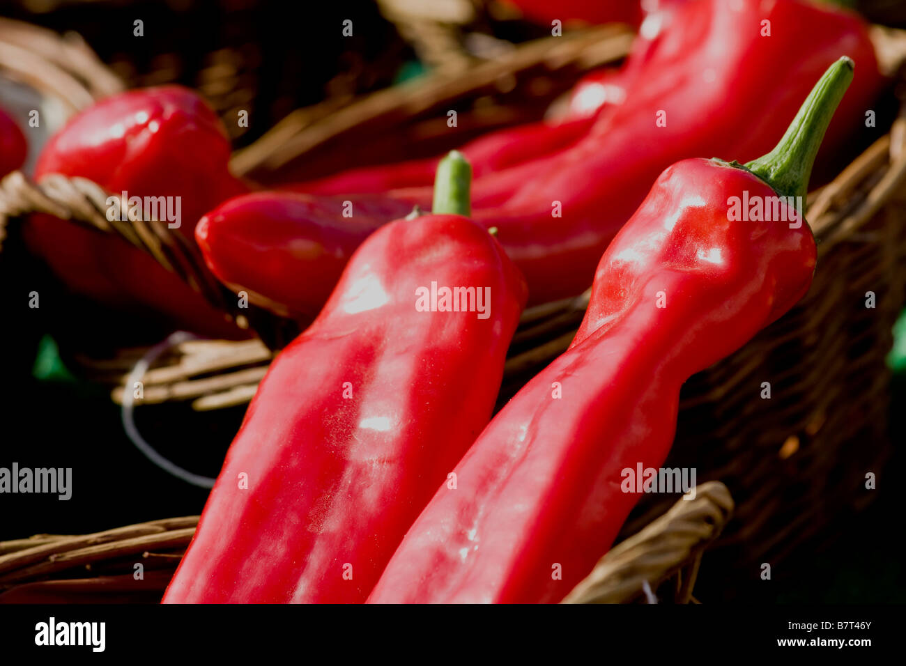 Red Romano Peppers in basket at market stall Stock Photo - Alamy