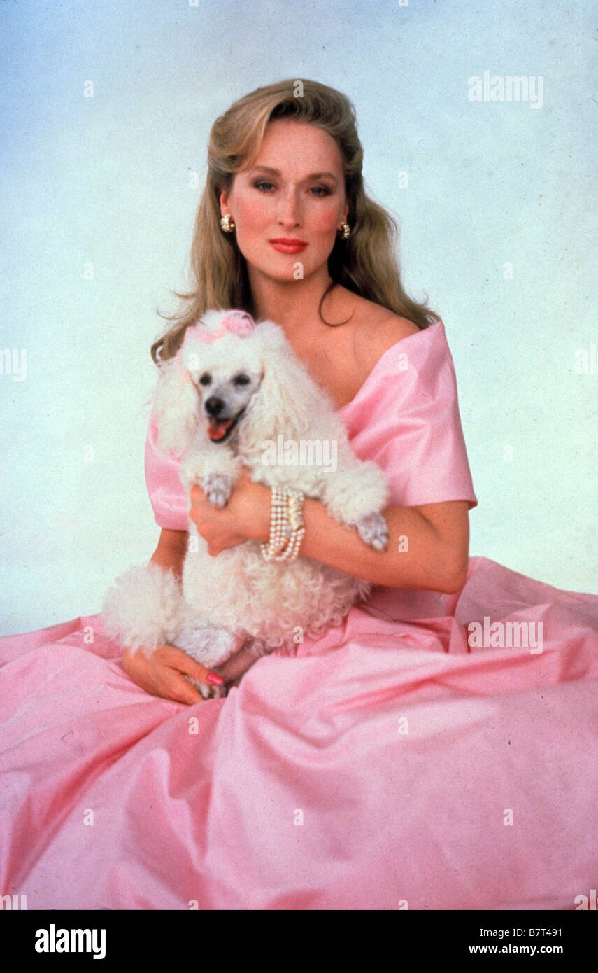 She devil 1989 meryl streep hi-res stock photography and images - Alamy