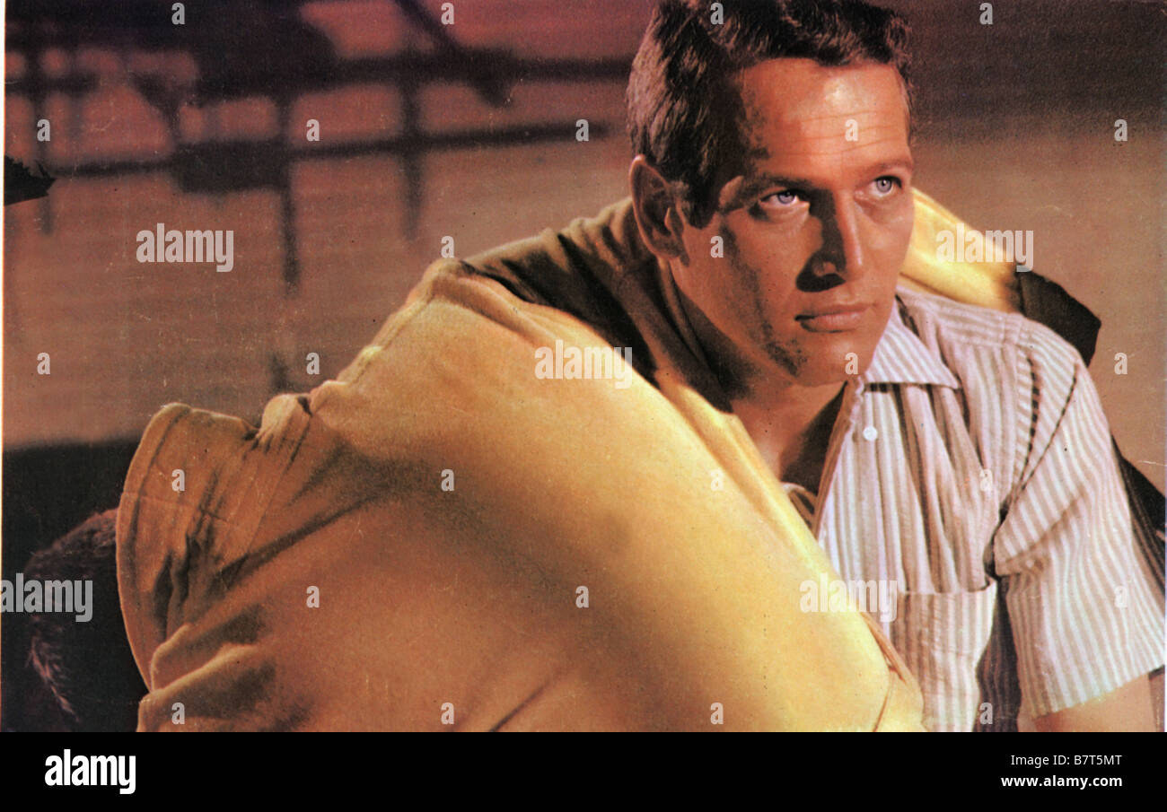 Harper Year: 1966 USA Paul Newman, Director: Jack Smight Stock Photo ...