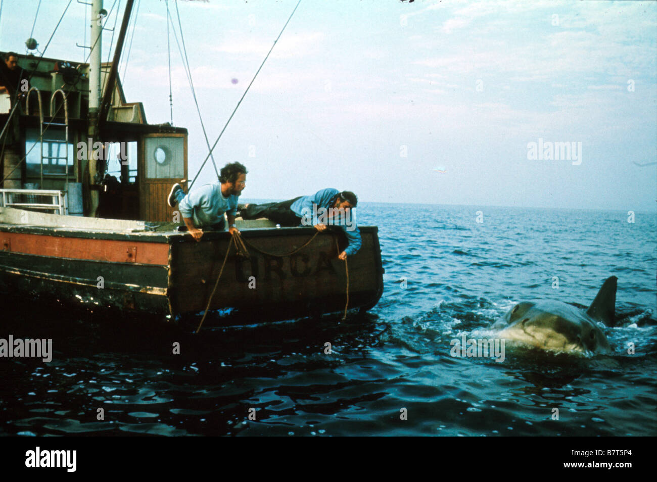 Jaws Year: 1975 USA Director: Steven Spielberg Stock Photo - Alamy