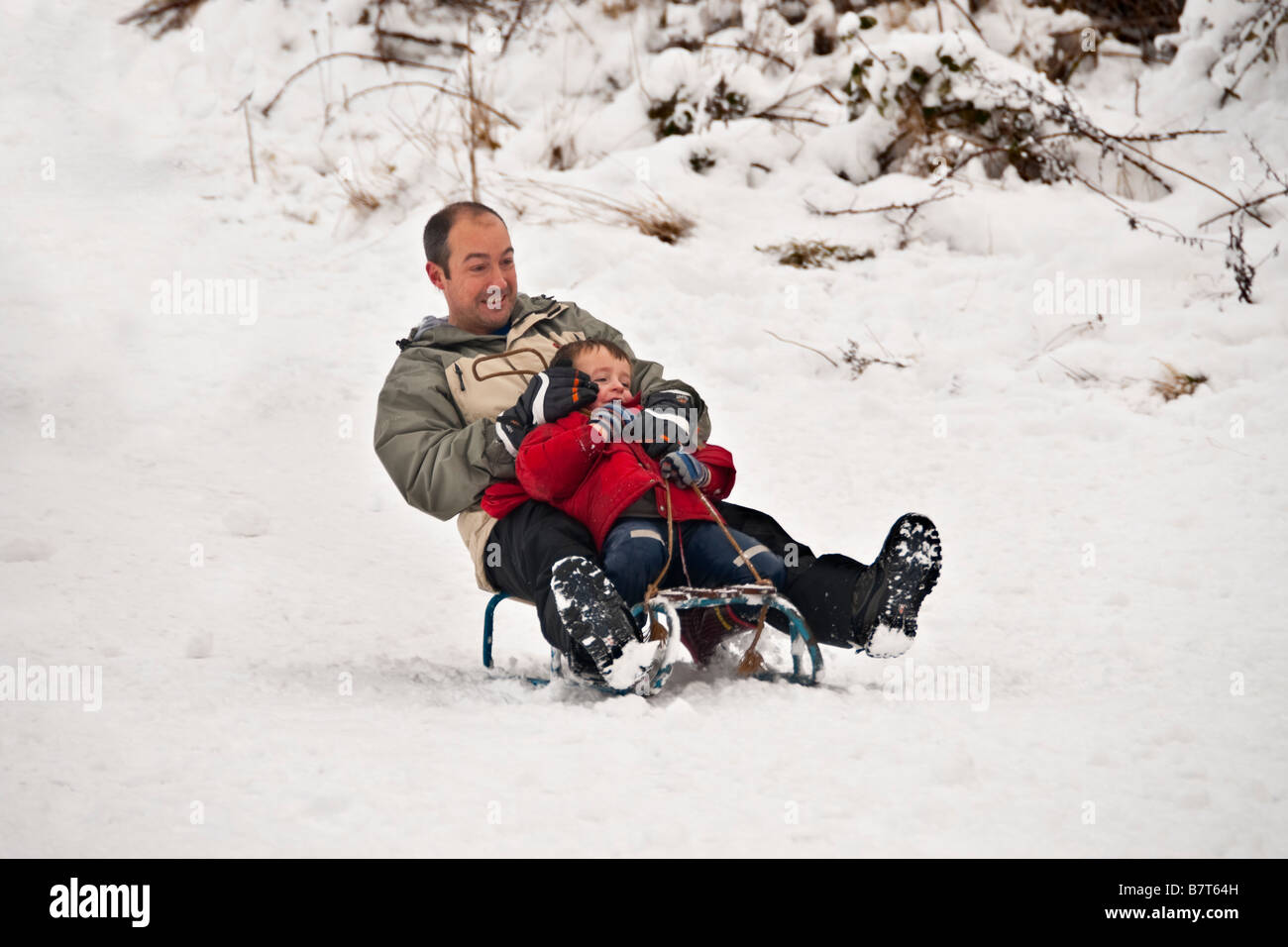 Father and son riding on a sledge Stock Photo - Alamy