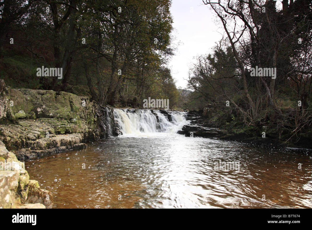 Gelt Stock Photos & Gelt Stock Images - Alamy
