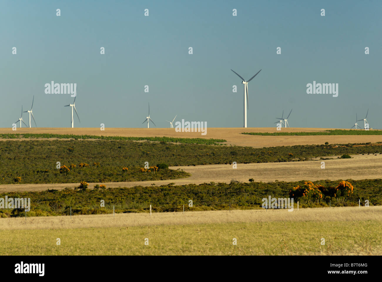 wind farm generators Emu Down Western Australia Stock Photo - Alamy