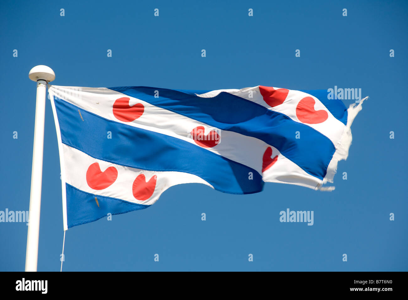 Friesland vlag hi-res stock photography and images - Alamy