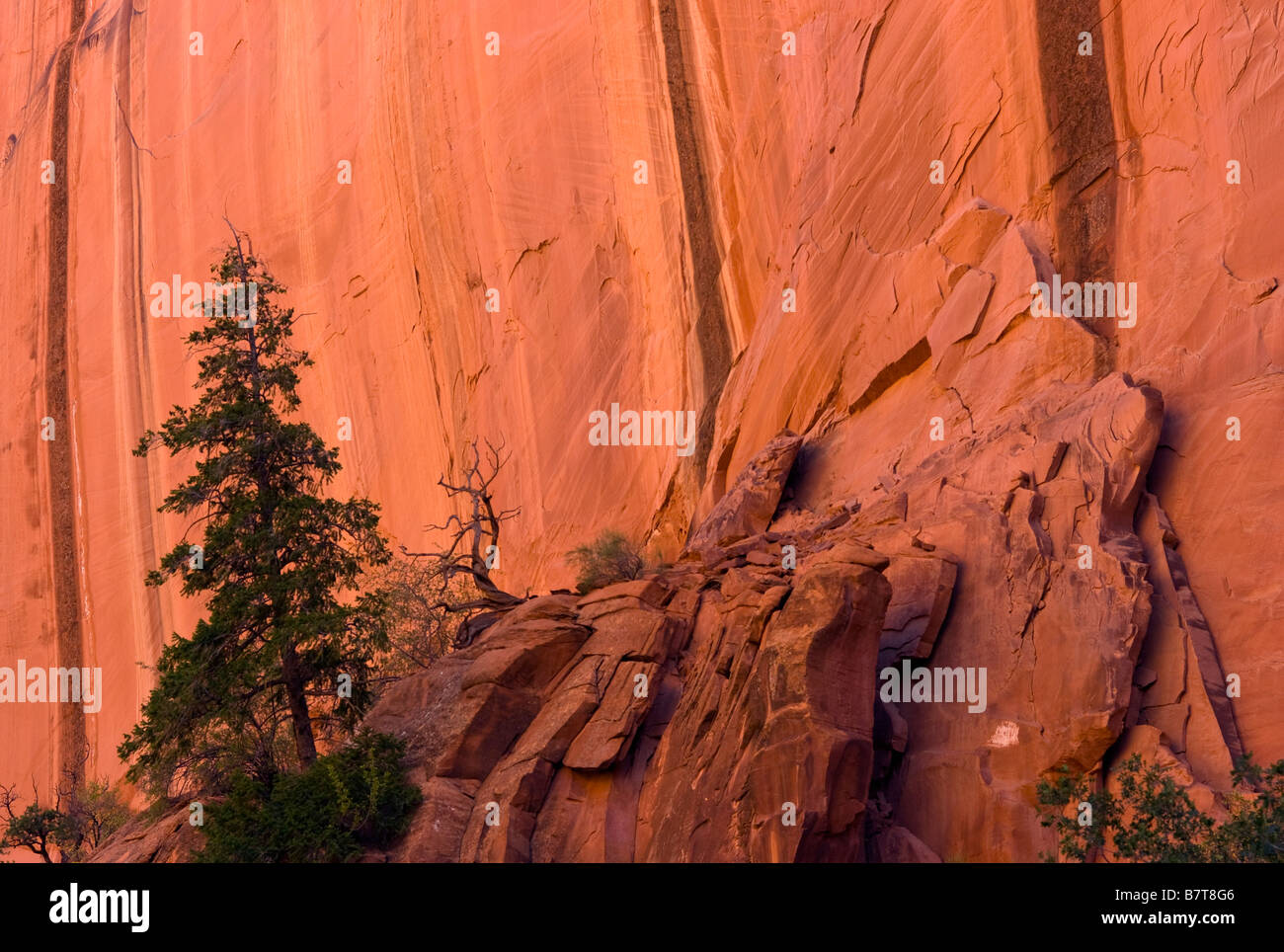 Cliff barnes hi-res stock photography and images - Alamy