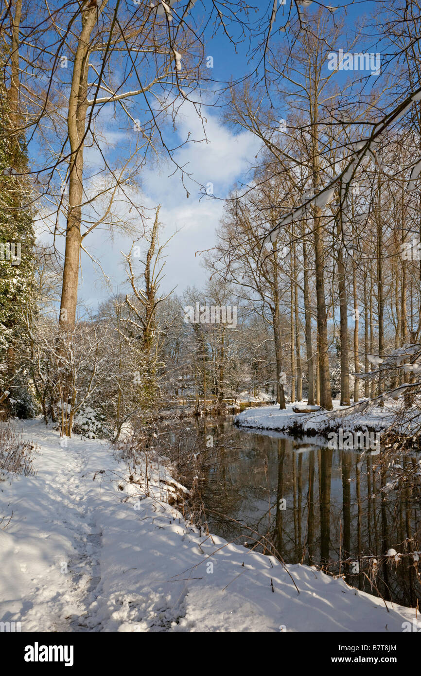 The river Mole winter scene trees and snow Stock Photo - Alamy