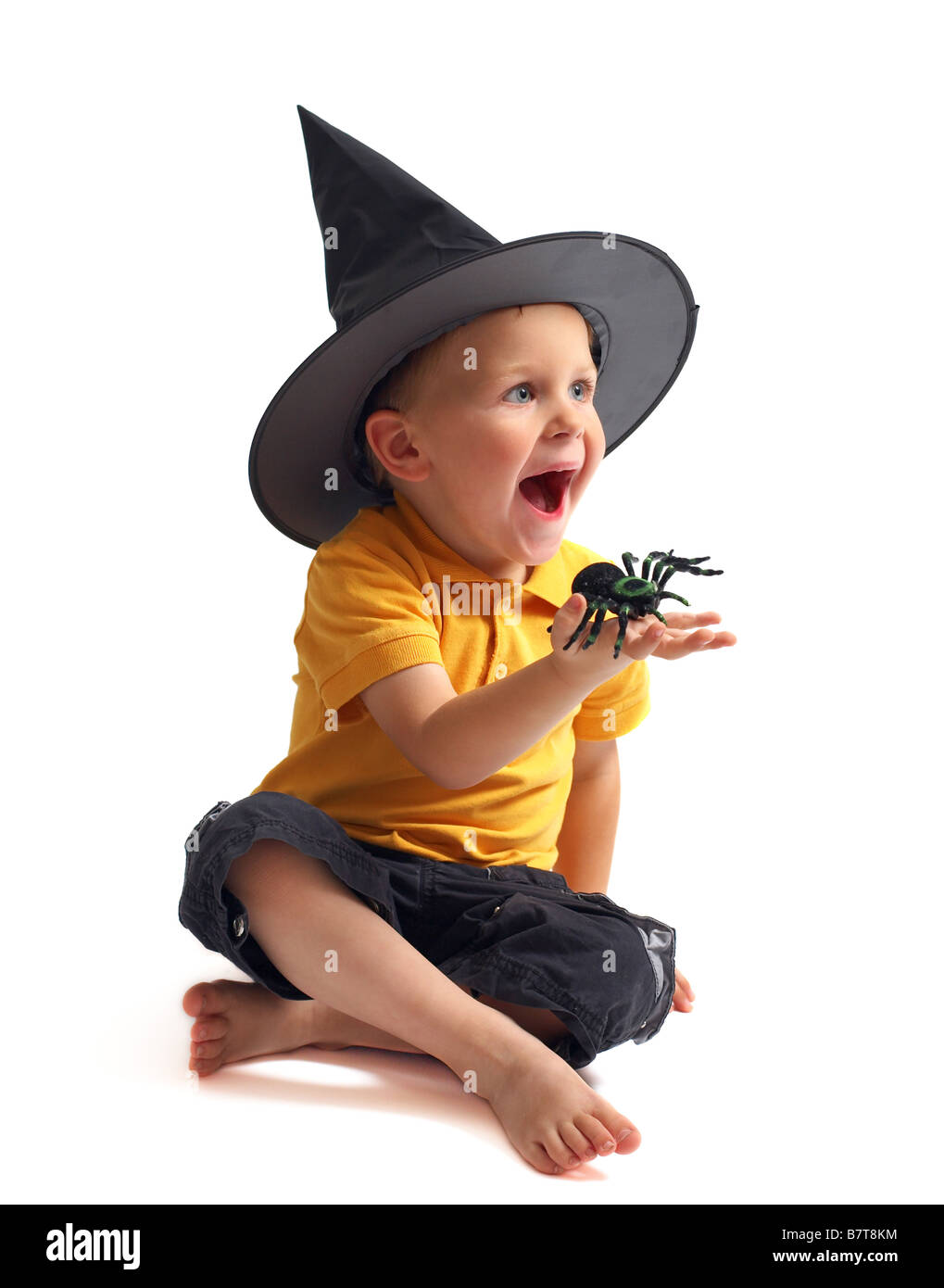 Spider hunting Isolated image of black spider and small cute boy in ...